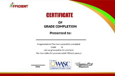 Afficient Academy Blog – AI Empowered Math & English programs for K-12