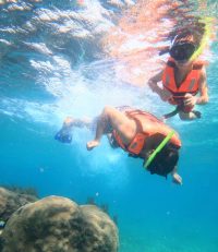 Joe: Acing Math with the Help of AI-Driven Afficient Math! – Afficient ...