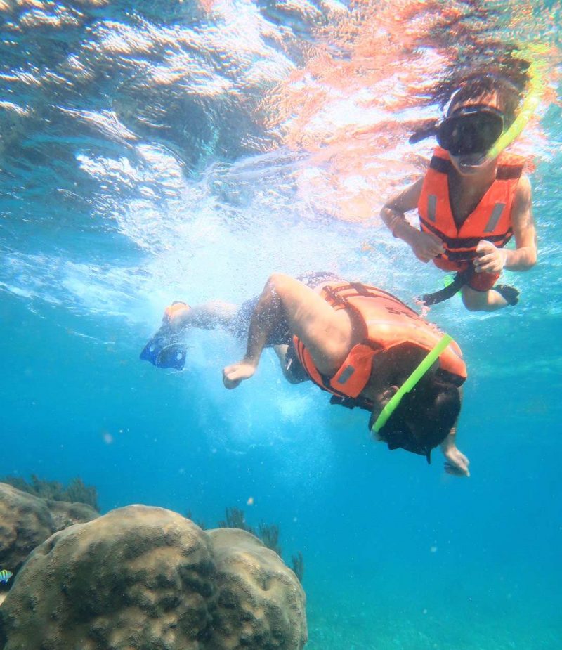 Joe: Acing Math with the Help of AI-Driven Afficient Math! – Afficient ...